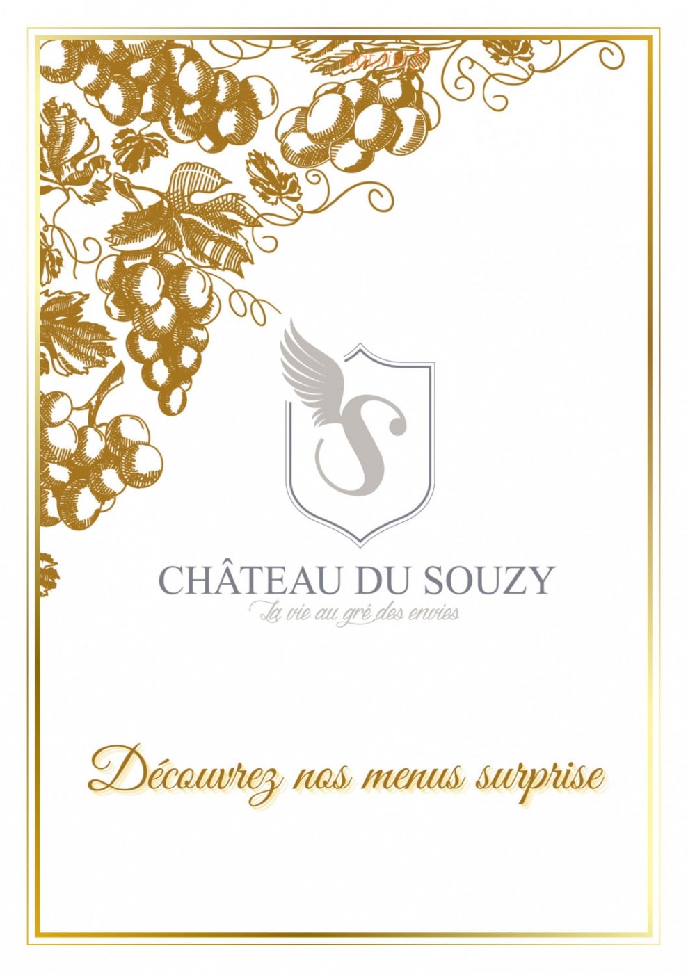 Château du Souzy à Quincie En Beaujolais - menu et photos