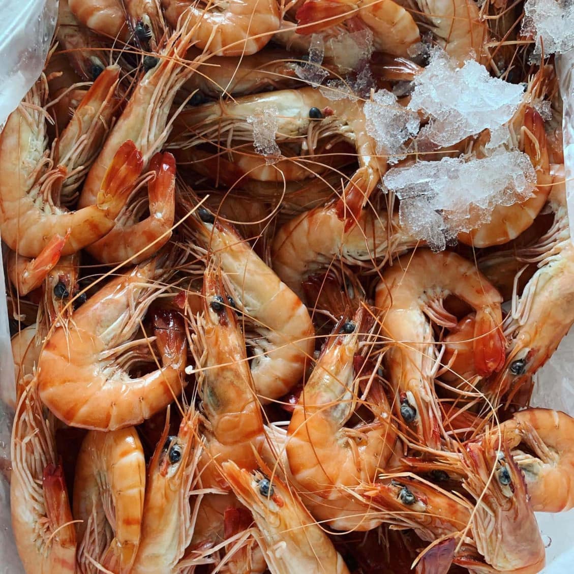 Le Petit Chenal à Lege Cap Ferret - menu et photos