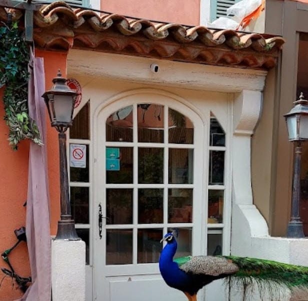Villa Azur à Saint Tropez - menu et photos